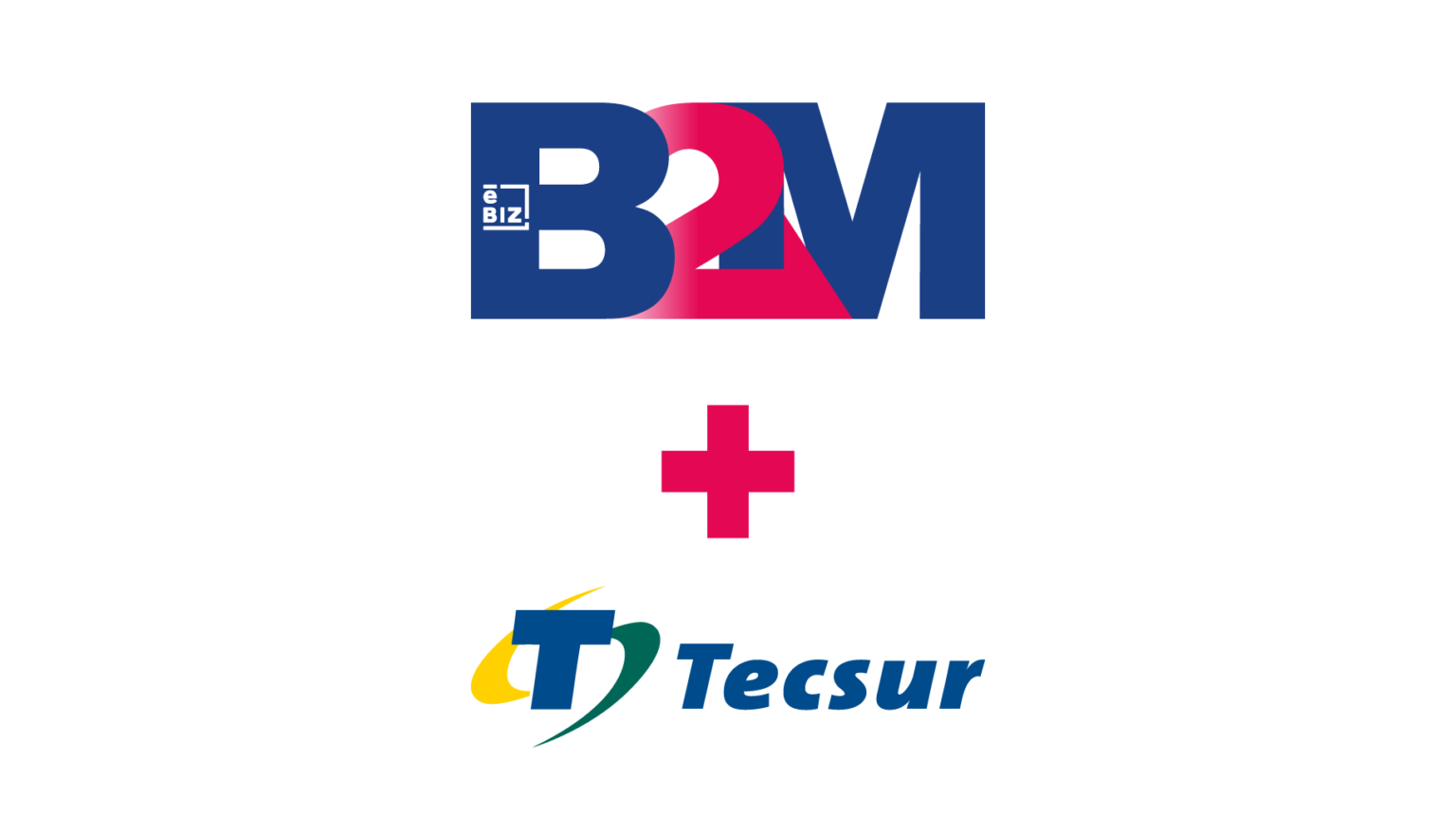 Tecsur potencia su cadena de suministro con nuevos módulos de B2M - eBIZ